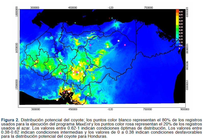 Distribución potencial y notas acerca de coyote (Canis lantra) en ...