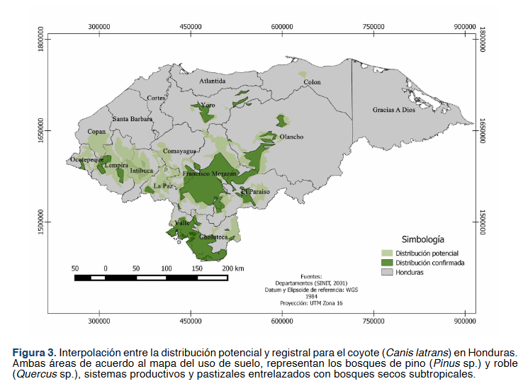 Distribución potencial y notas acerca de coyote (Canis lantra) en ...